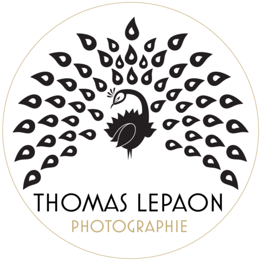 ACCUEIL - Thomas Lepaon Photographie